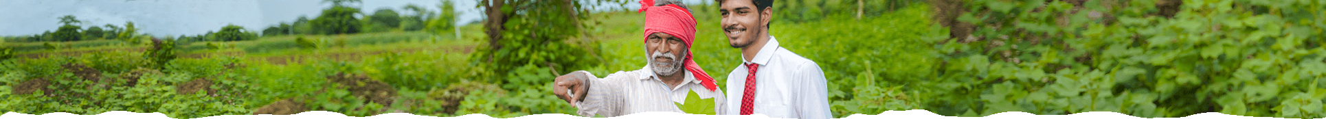 Openings - StarAgri