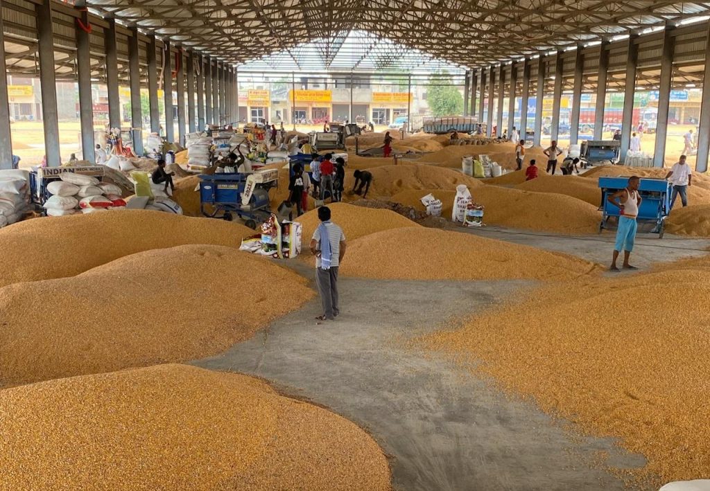 Commodity Management Services by StarAgri: Securing Agri Value for ...